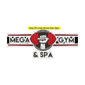 Mega Gym & Spa - MyDwarka.in